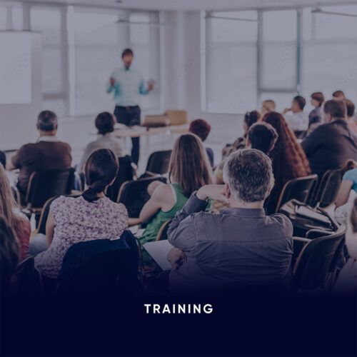 What does SQEP do? - SQEP